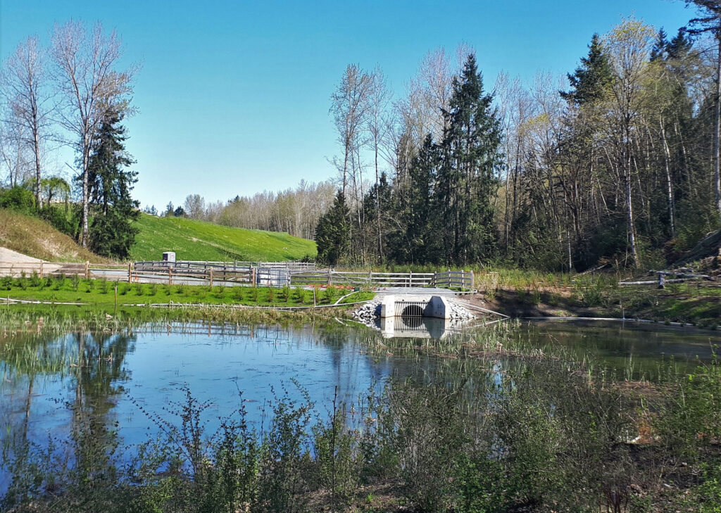 On the Ground - Natural Assets Initiative