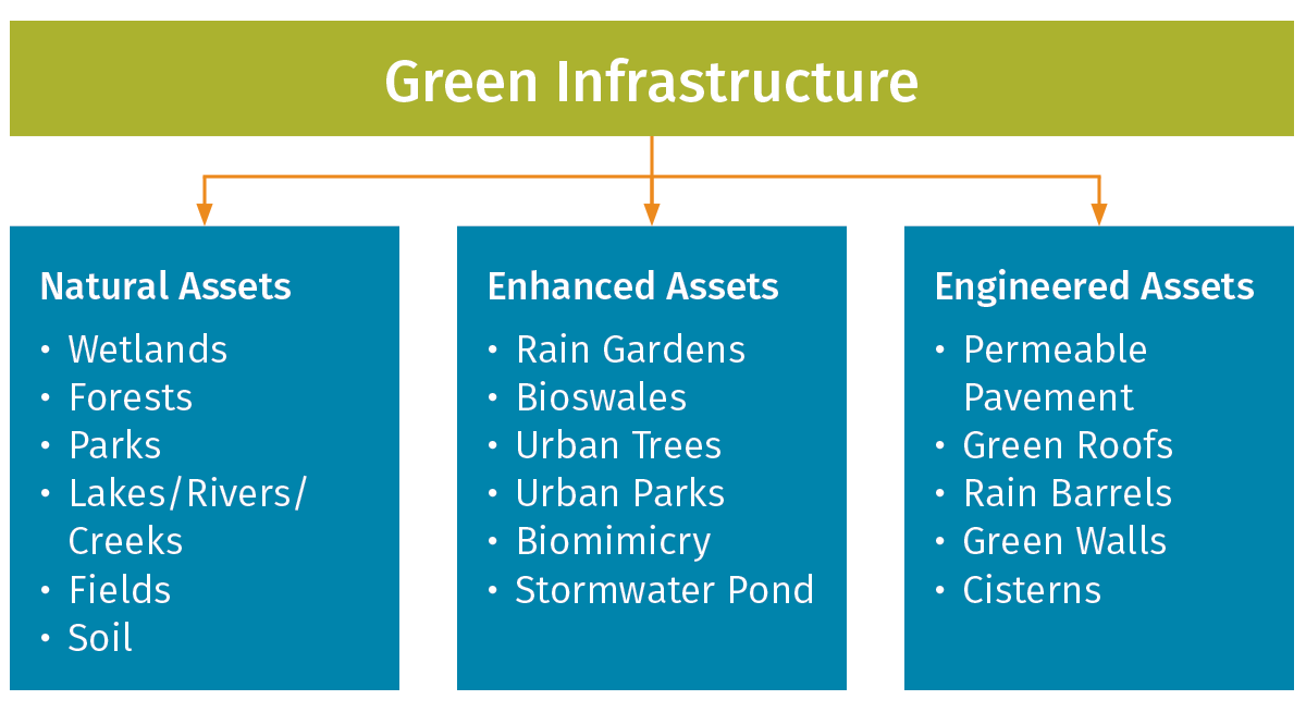 Natural Asset Management - Natural Assets Initiative