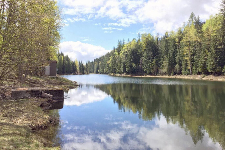 Town of Gibsons, BC - Natural Assets Initiative
