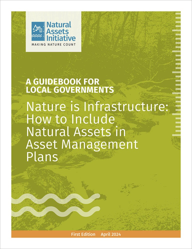 Resources & Reports - Natural Assets Initiative