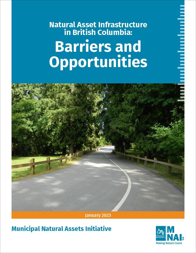 Natural Asset Infrastructure in BC: Barriers and Opportunities ...