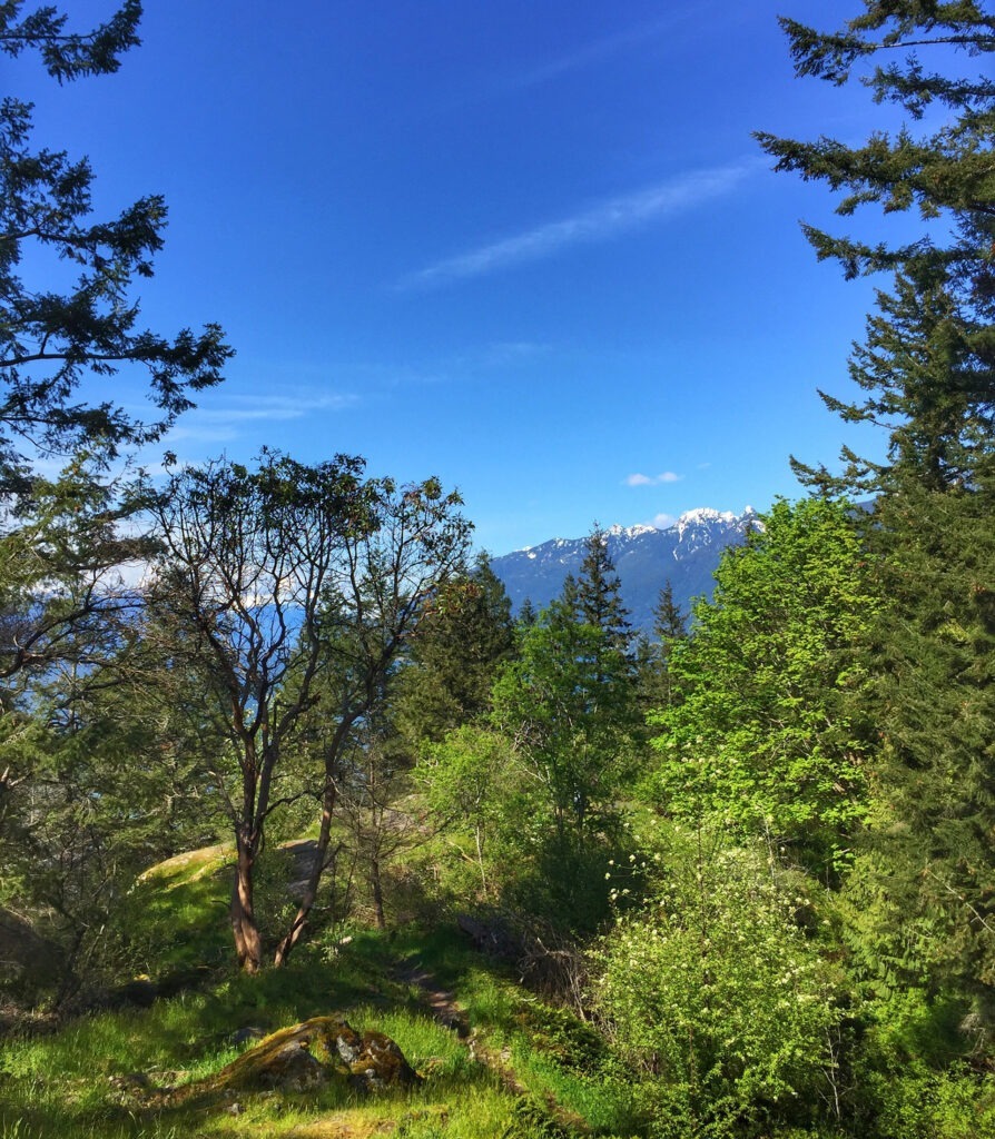 Where are they now? West Van - Natural Assets Initiative