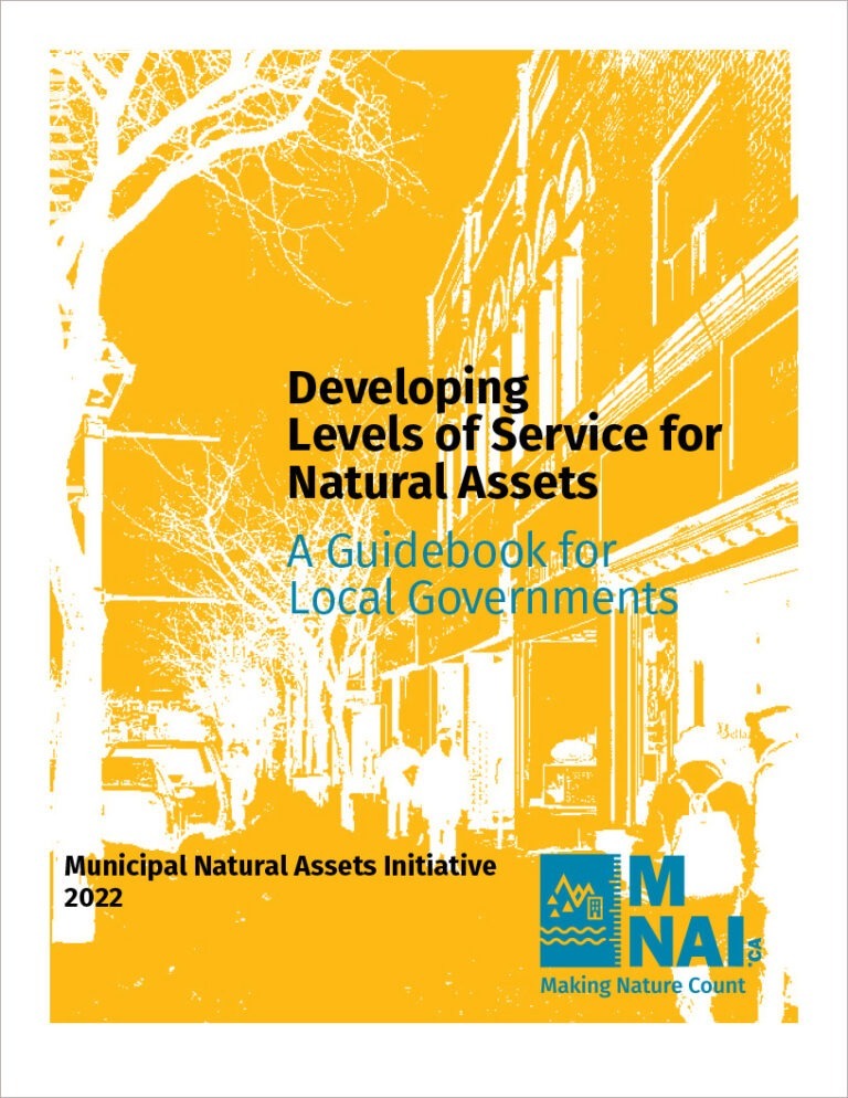 A Guidebook for Local Governments: Developing Levels of Service (LOS ...