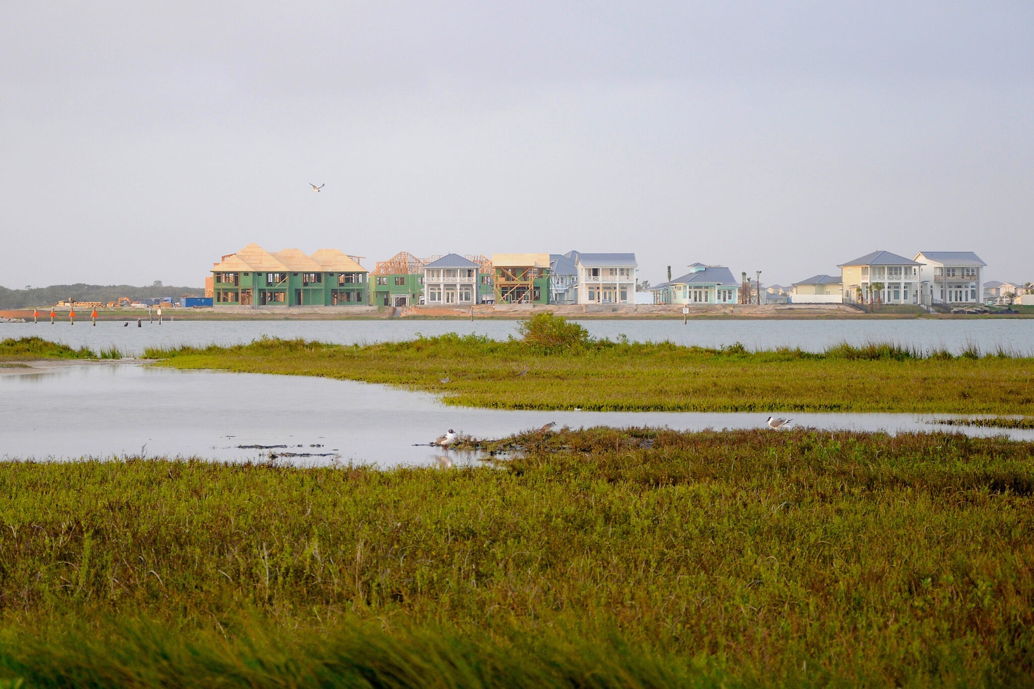 Planning with nature in the prairies Guide to integrating natural asset ...