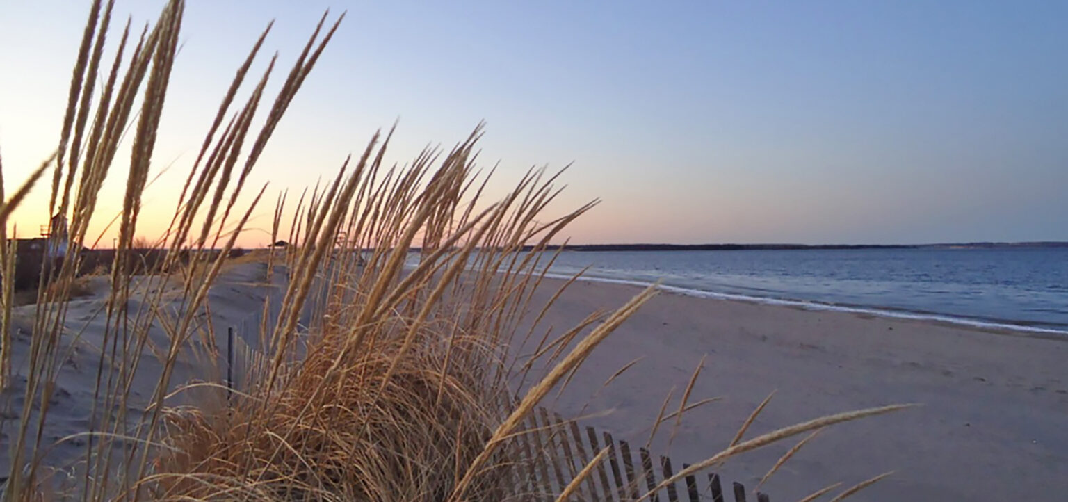 Managing Natural Assets to Increase Coastal Resilience – Chêne ...