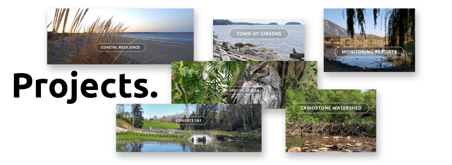 Resources & Reports - Natural Assets Initiative