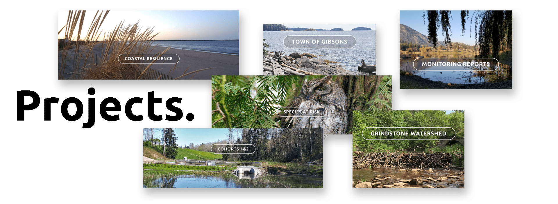 Resources & Reports - Natural Assets Initiative