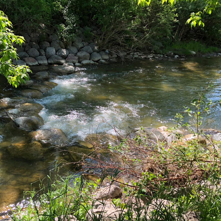 Resources & Reports - Natural Assets Initiative