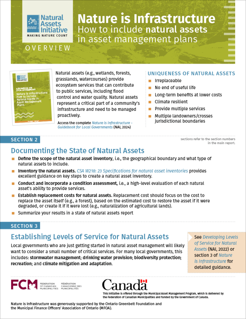 Nature is Infrastructure: How to Include Natural Assets in Asset ...