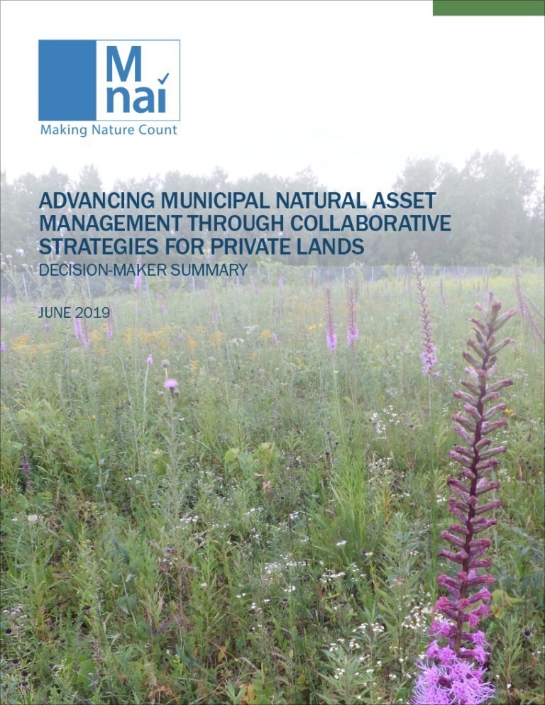 Resources & Reports - Natural Assets Initiative