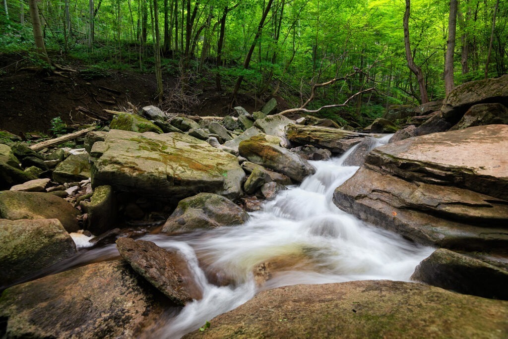 Natural Assets Initiative - NAI