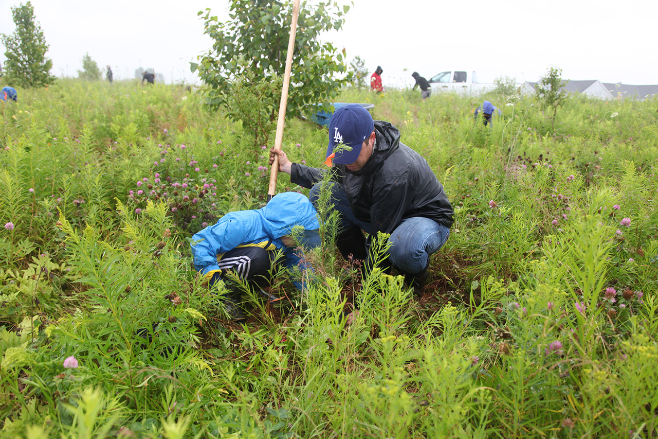 Charlottetown Leverages Natural Assets - NAI