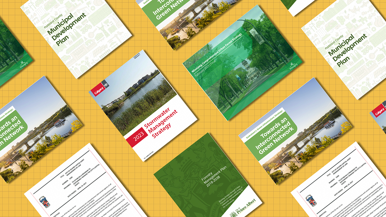 6 ways local governments are planning for nature as core infrastructure